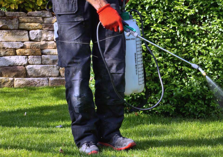 Pest & Termite Control | Easley & Greenville, SC | Foothills Pest Control